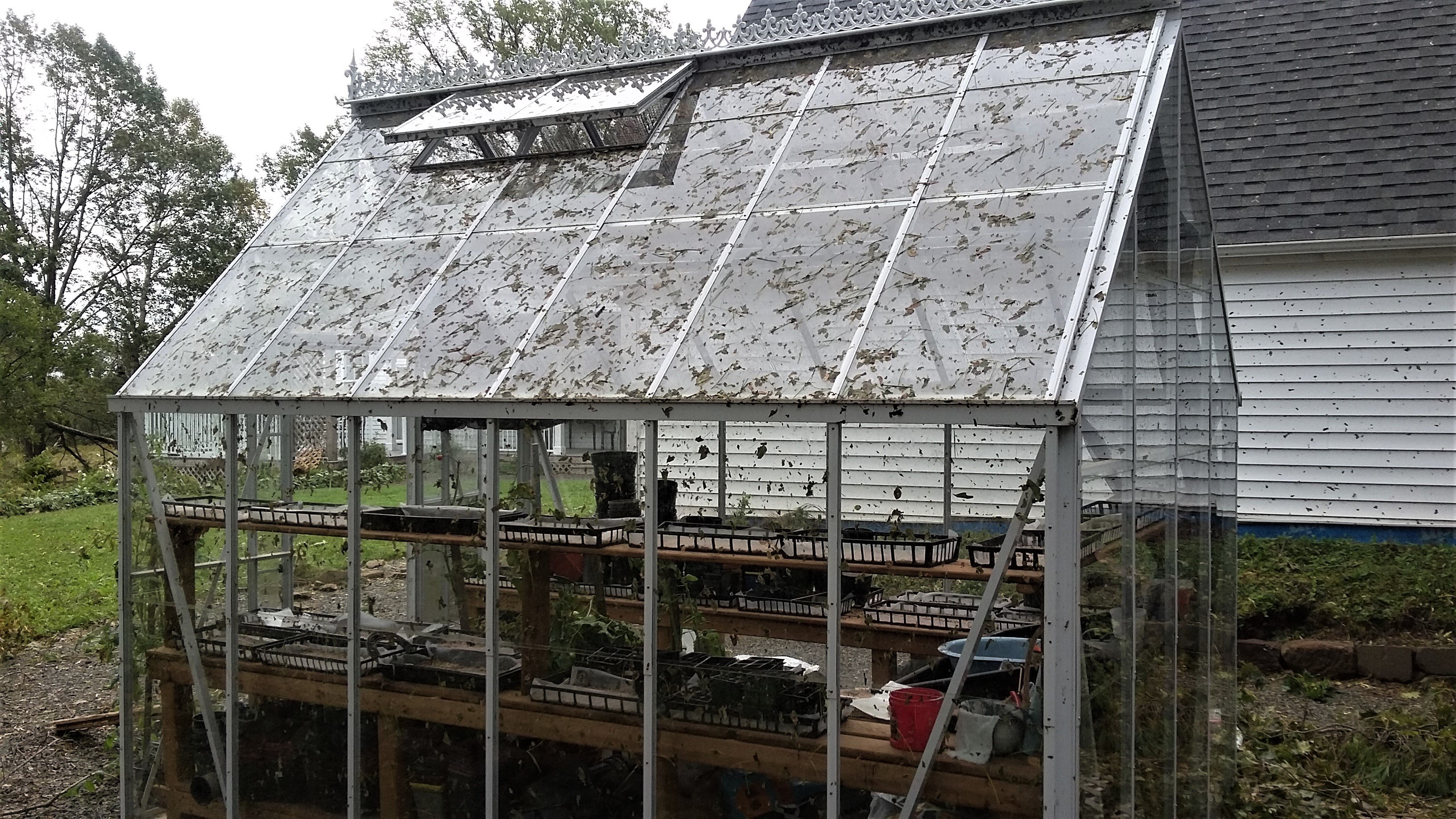 How Can You Protect Your Greenhouse from Storms and High Winds?