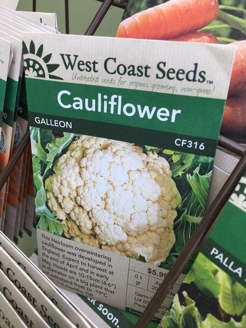 What Are the Seed Terms for a Greenhouse Garden? Sorting our Seeds