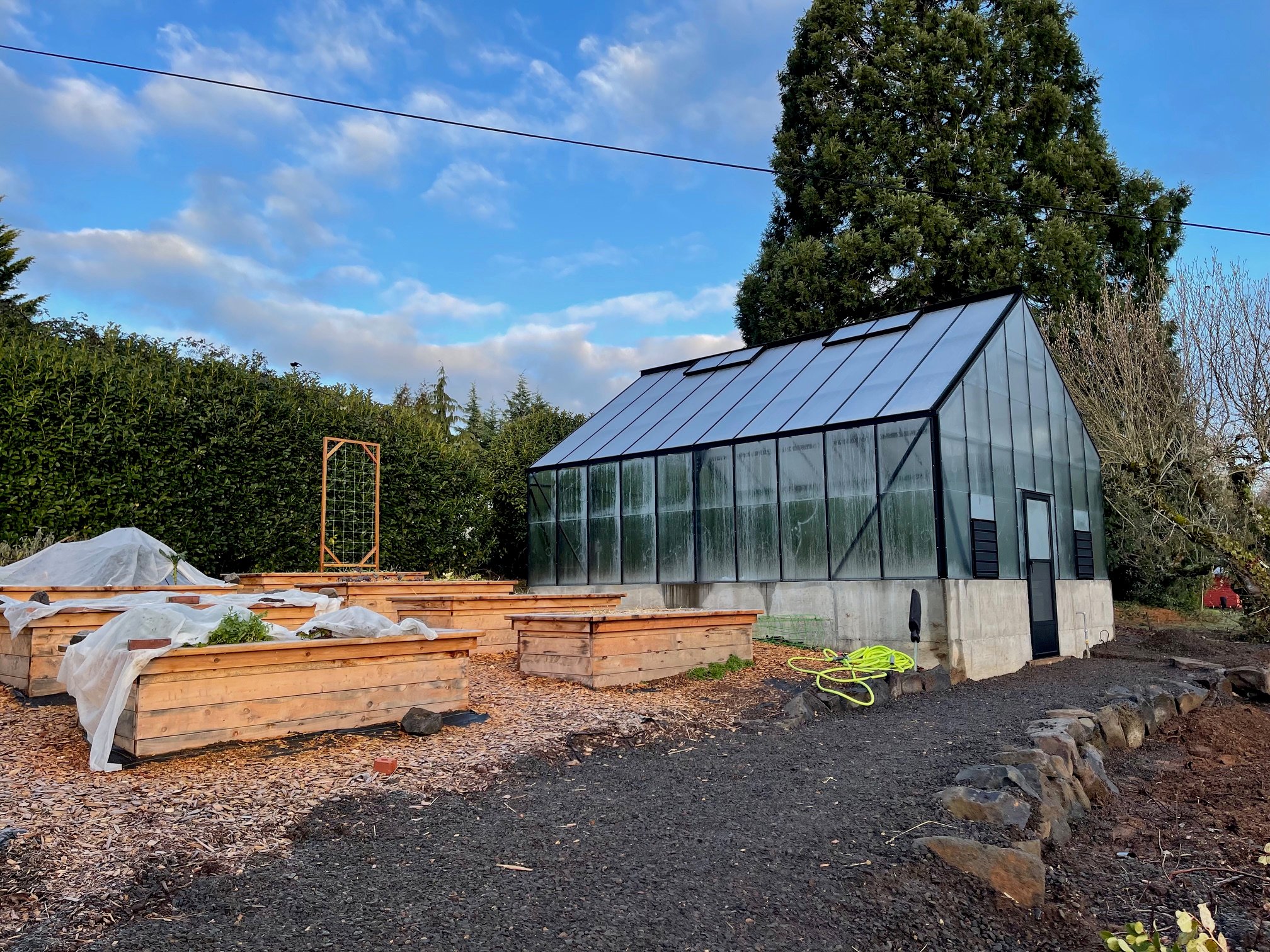 Greenhouse Humidity Hacks: Balancing Moisture in Winter