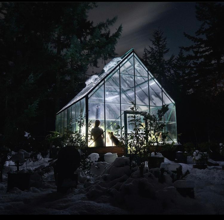 How to Optimize a Greenhouse for Cold-Weather? Winter Gardening Tips
