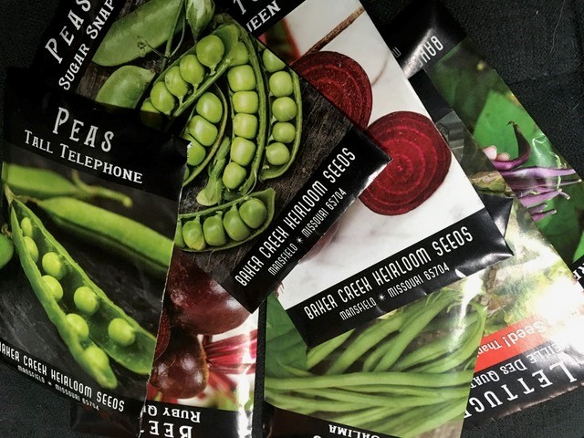 What Are the Seed Terms for a Greenhouse Garden? Sorting our Seeds