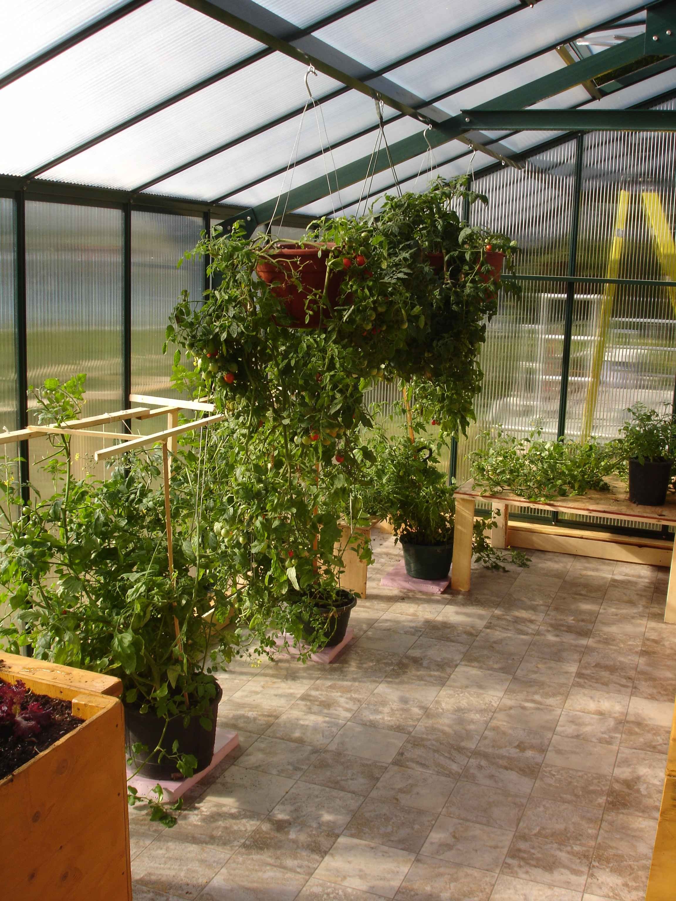 How do I Maximize My Greenhouse Growing Space? Tips and Tricks